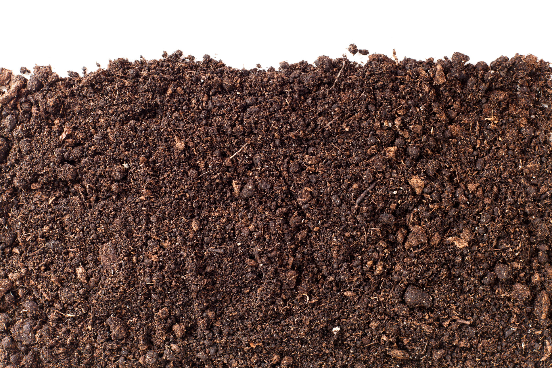 Telltale Signs of a Clogged or Leaky Sewer | Hutchins Plumbing & Air ...